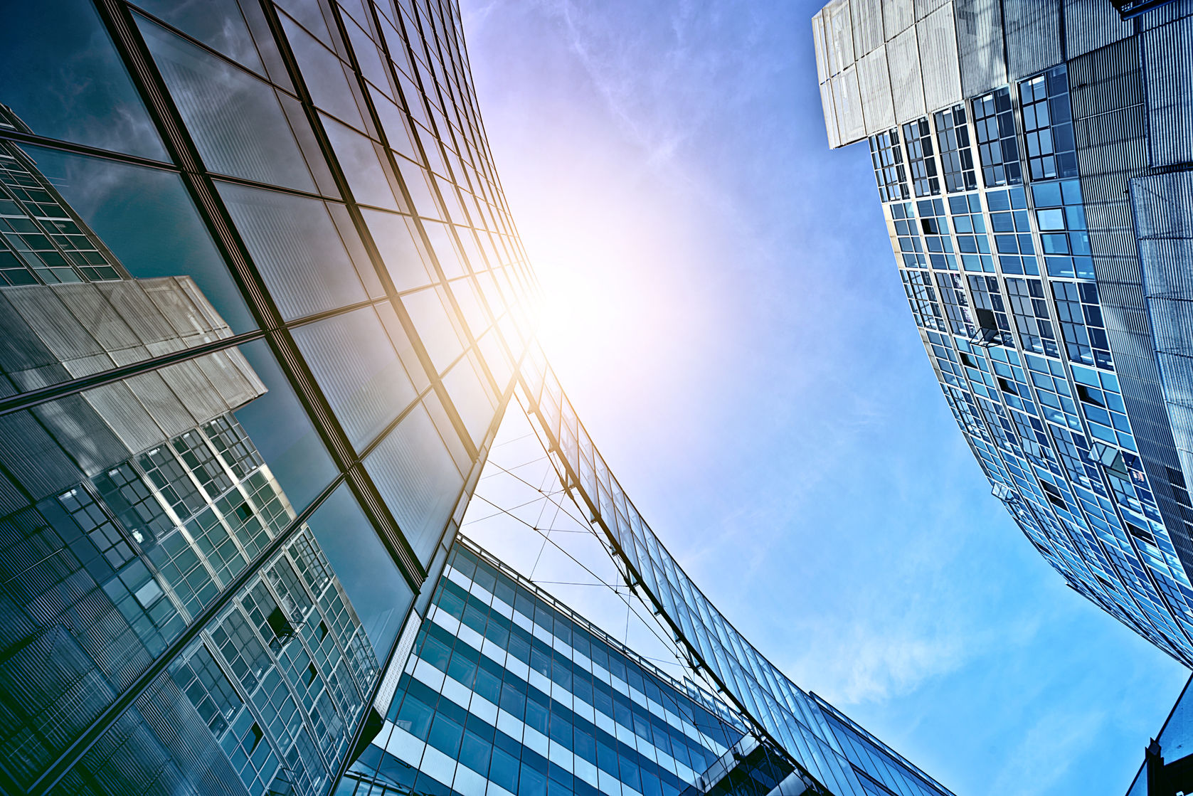 Eastern Suburbs Corporate Lawyer | Ross Ward Lawyers